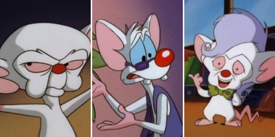 All Episodes Of 'Pinky and the Brain', Ranked By Fans