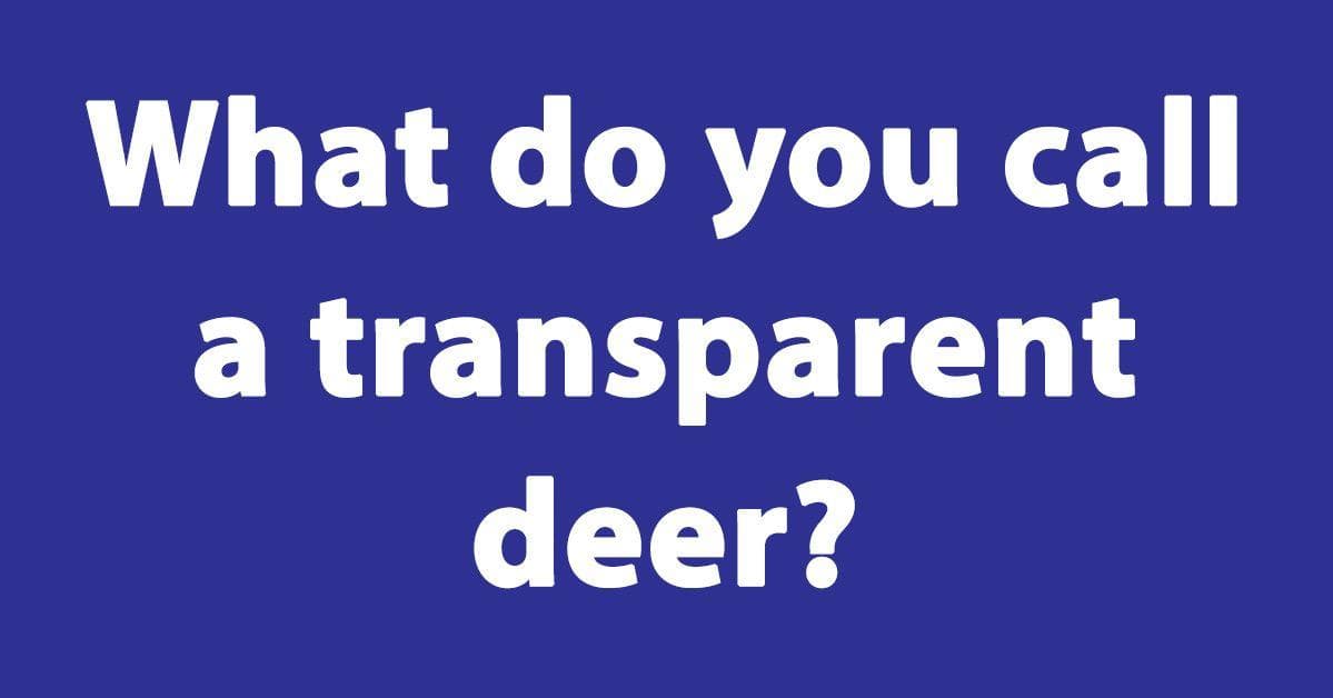 The 25+ Best Deer Jokes, Ranked