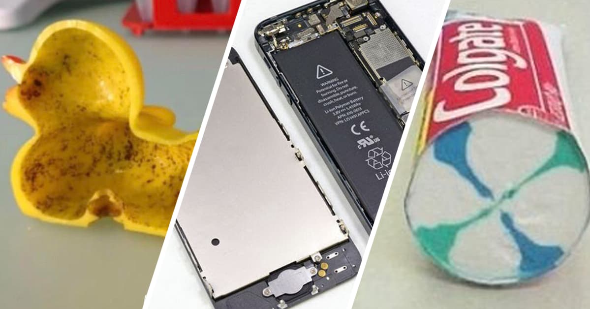 Things Cut in Half Photos | Cool Bisected Objects