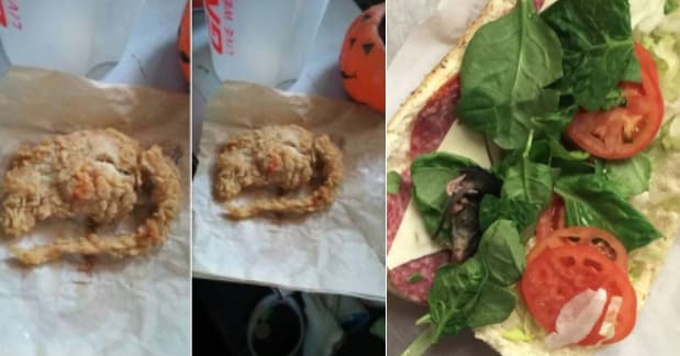 Gross Things Found in Fast Food
