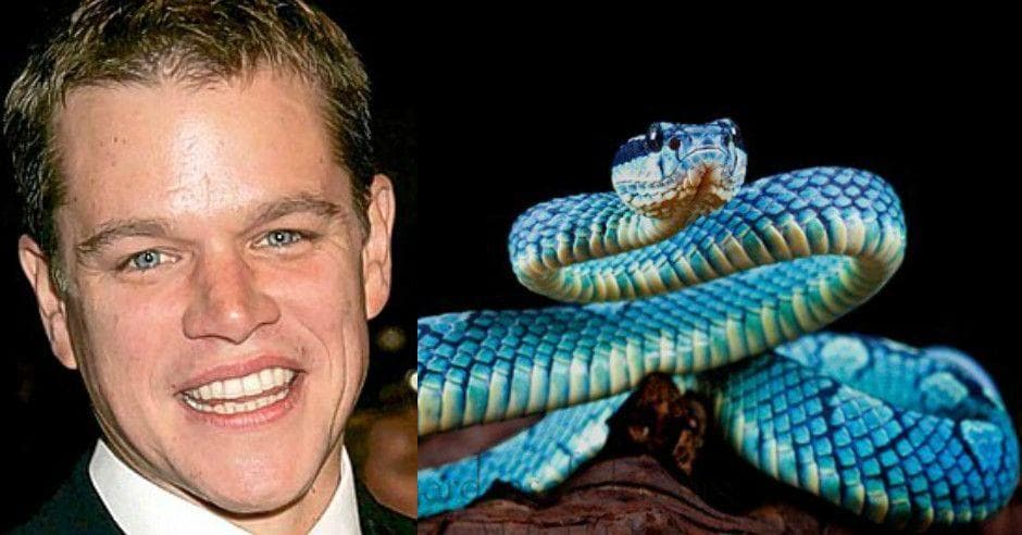 Celebrities with Phobias | Things Famous People Are Afraid Of