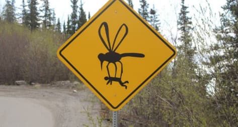 34 of the Funniest Street Signs on the Open Road