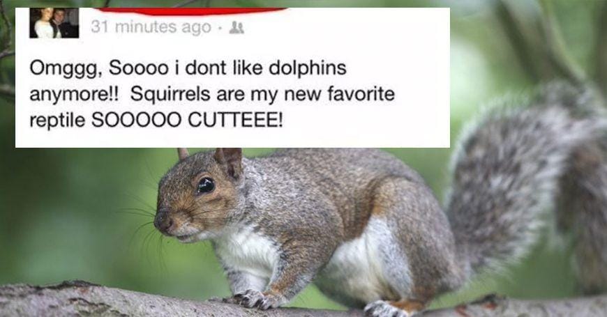 The Funniest Dumb Facebook Posts Ever