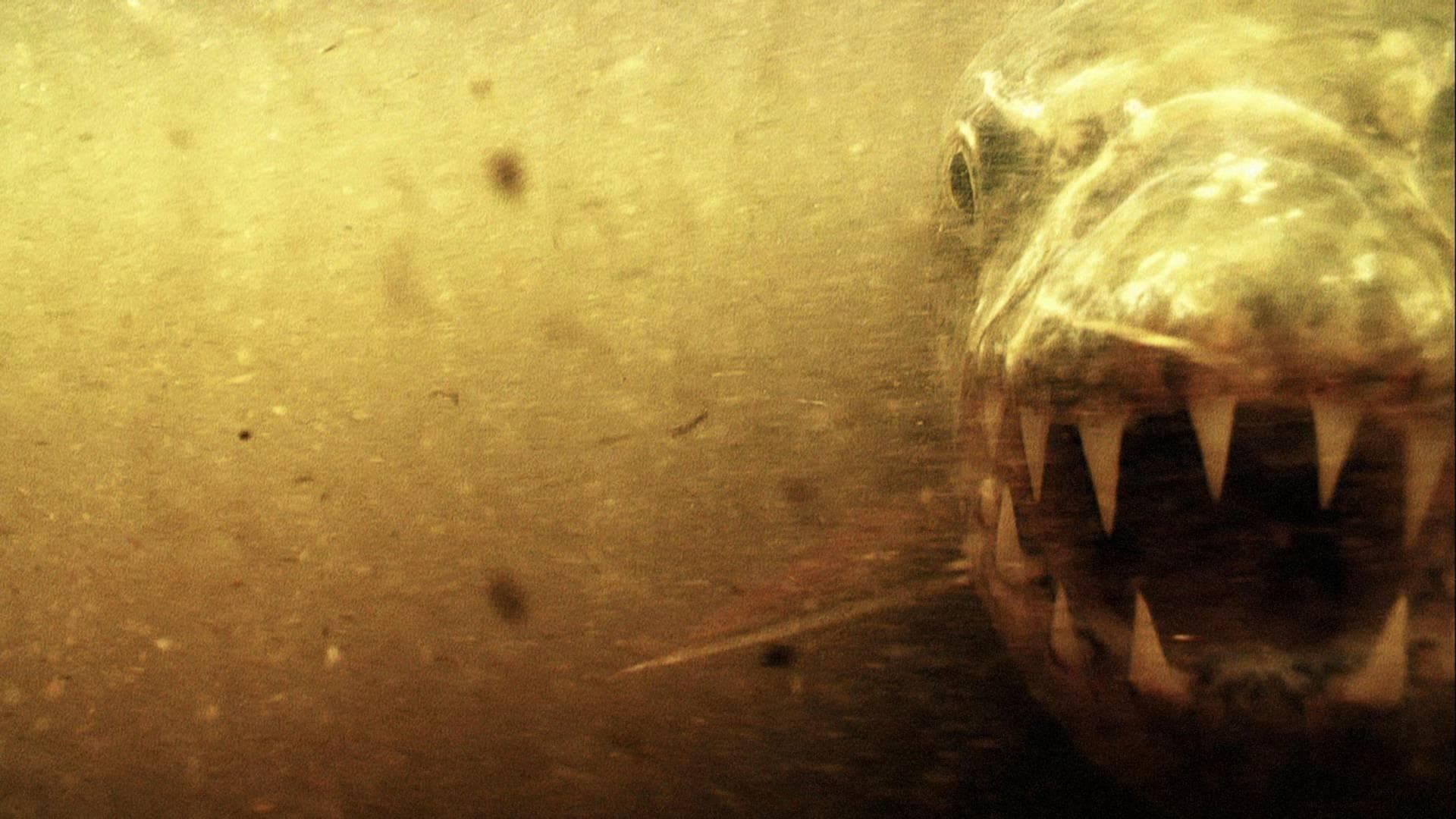 The Creepiest Things Ever Reeled in on River Monsters
