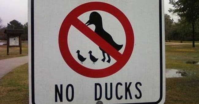 21 Confusing Signs That Make No Sense Whatsoever