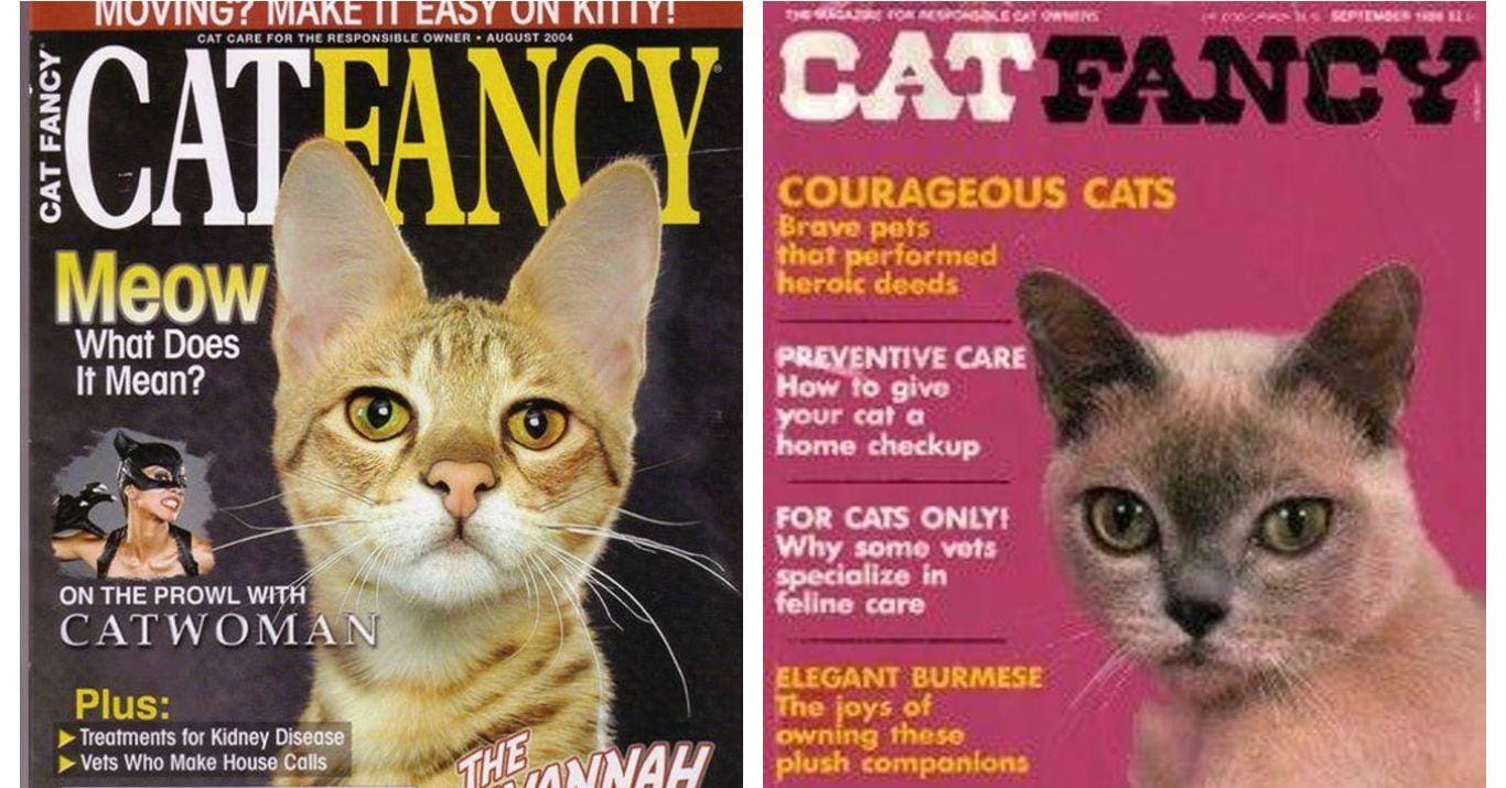The Most Regal Felines from the Cover of Cat Fancy