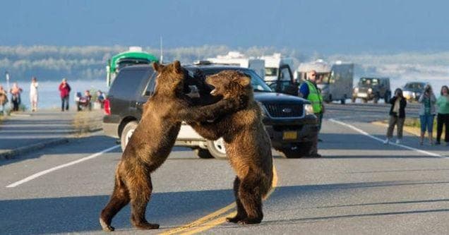 21 Hilarious Traffic Jam Photos That Make Traffic Funny