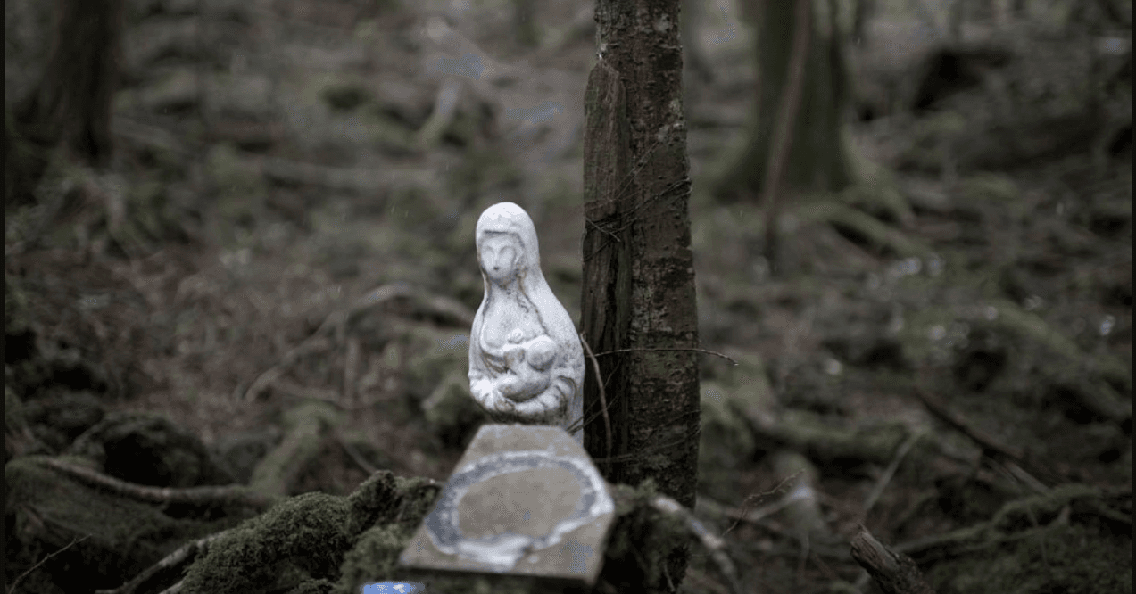 12 Super Haunted Forests You Never Want To Get Lost In