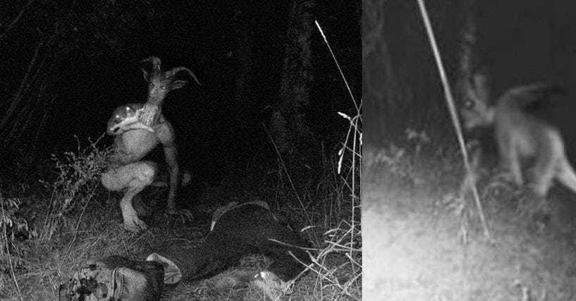 20 Horrifying Trail Photos