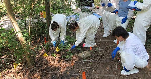 Fascinating Things We’ve Learned From Body Farms