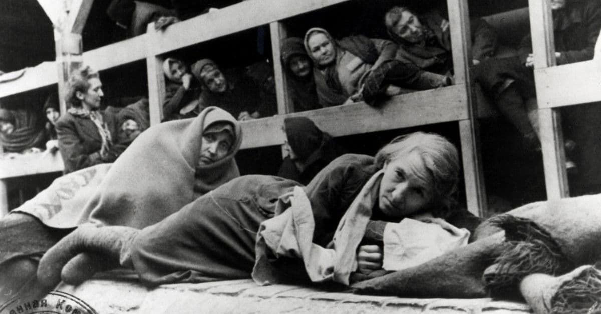 Firsthand Accounts of What Life Was Really Like in Concentration Camps