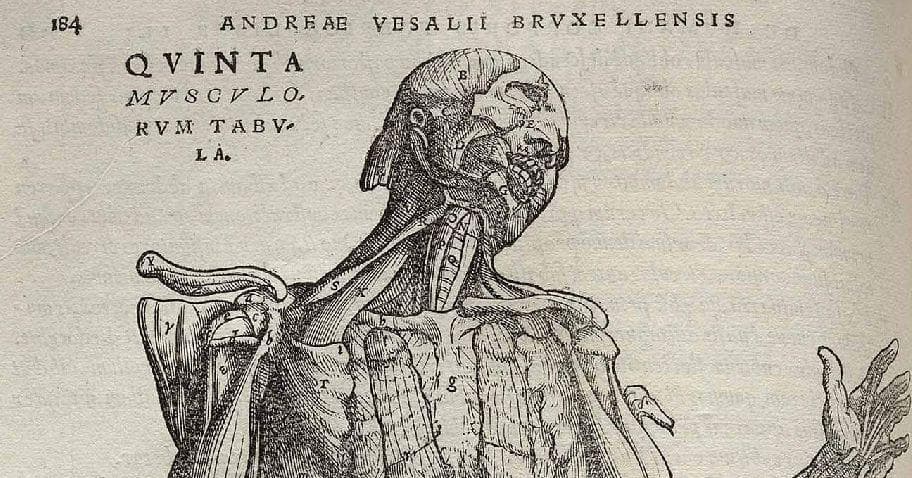 What It's Like To Be Skinned Alive