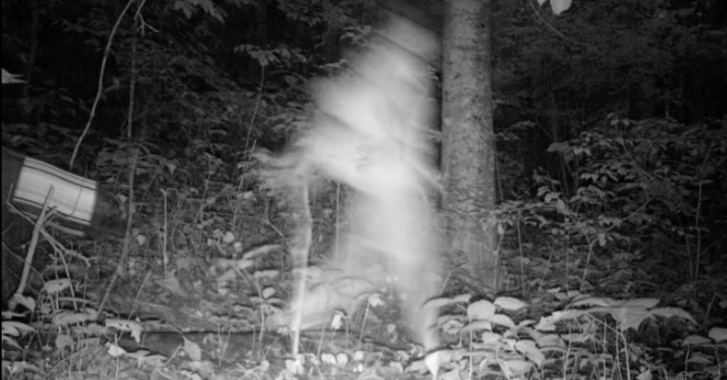 25 People Discuss The Creepiest Things They've Seen While In Seclude