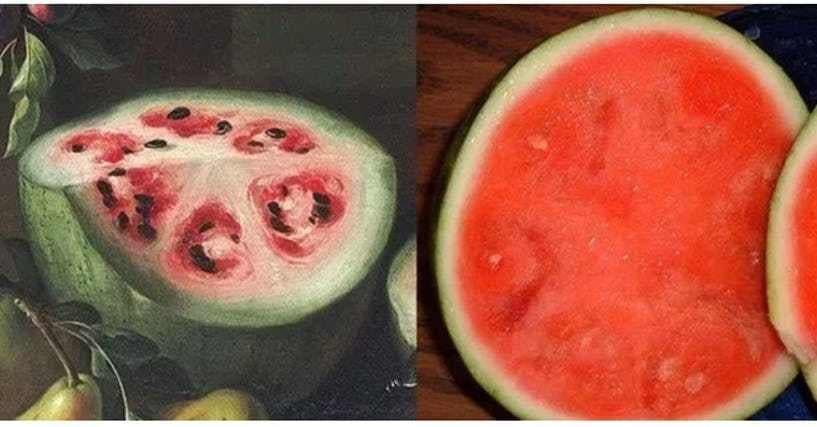 20 Common Fruits Vs Their Undomesticated Forms (Photos)