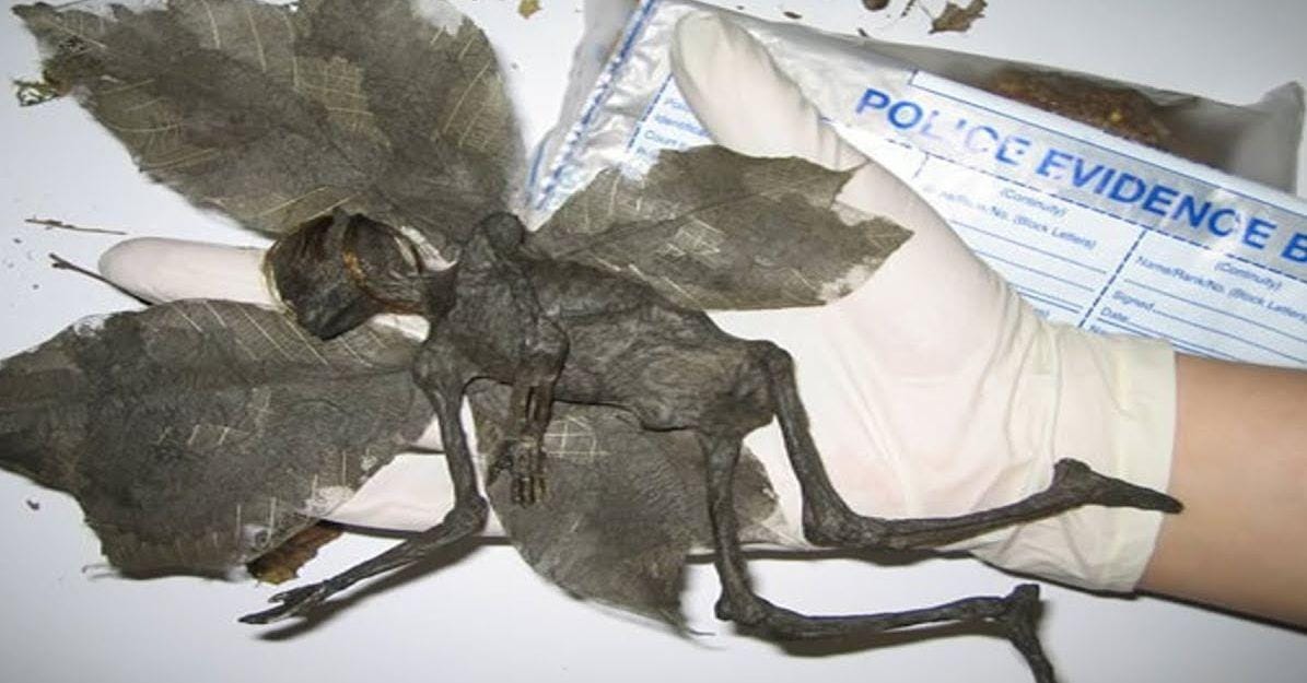 15 Stories About Faeries That Prove They're More Creepy Than Cute