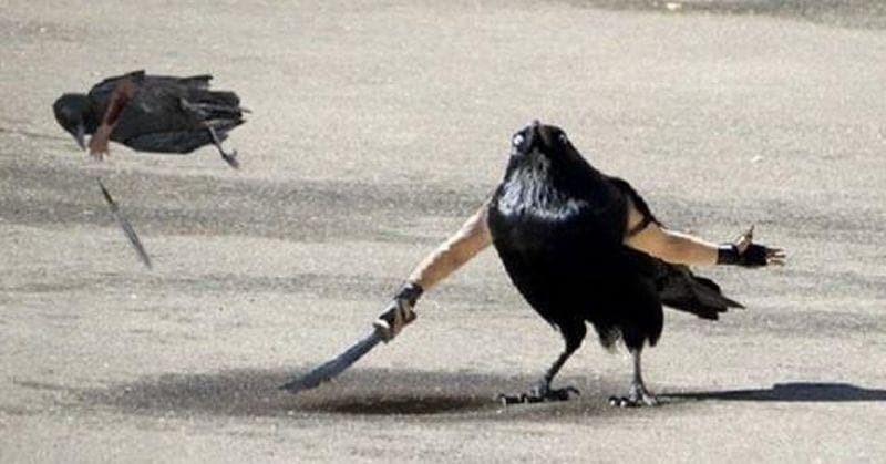 16 Super Weird Subreddits That Actually Exist