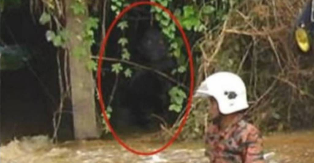 19 Pictures That Might Just Contain Demons