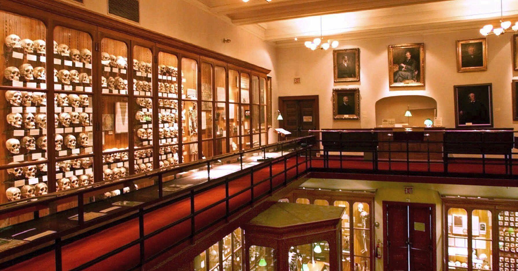 14 Super Weird And Disgusting Things On Display At The Mütter Museum