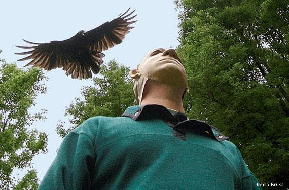 16 Unnerving Facts About Corvids Most People Don't Know