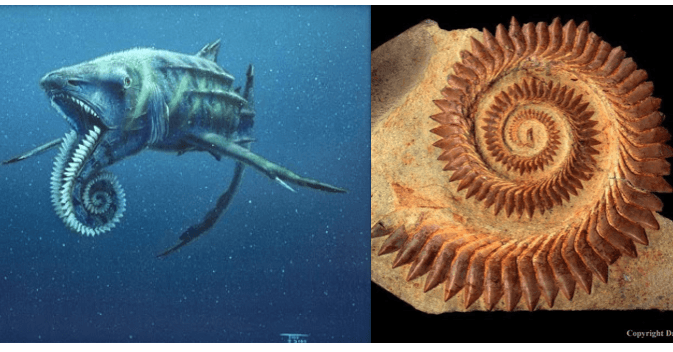 The 11 Most Horrifying Sea Monsters To Ever Terrorize The Ocean