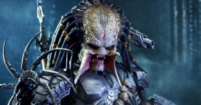 Predator Fan Theories