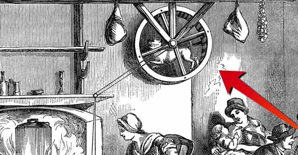 The Heartbreaking History of Turnspit Dogs That Worked in Kitchens