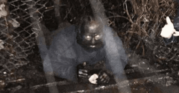 11 Strange Stories About the Mysterious Catman Of Greenock