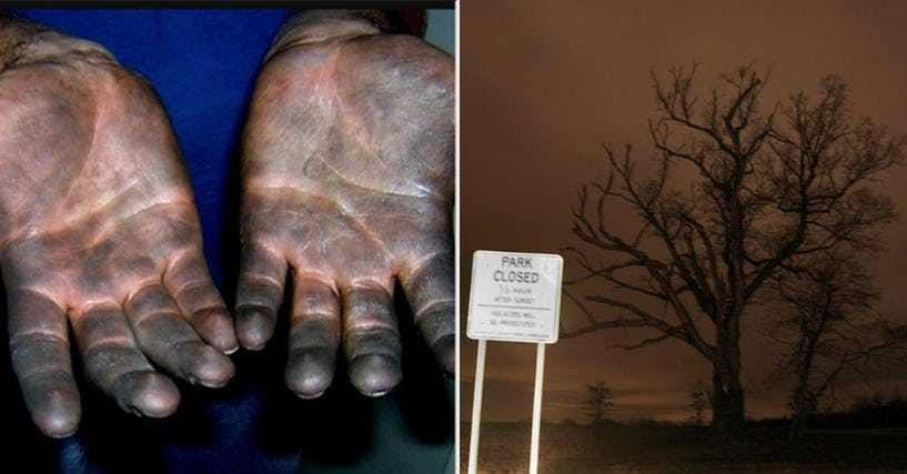 The "Devil's Tree" In New Jersey and The Terrible Things It Has Done