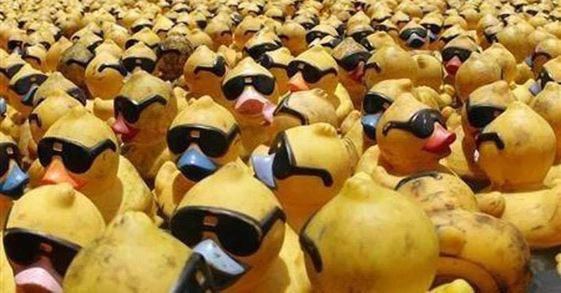 That Time 28,000 Rubber Duck Toys Spilled Into The Ocean (Photos)