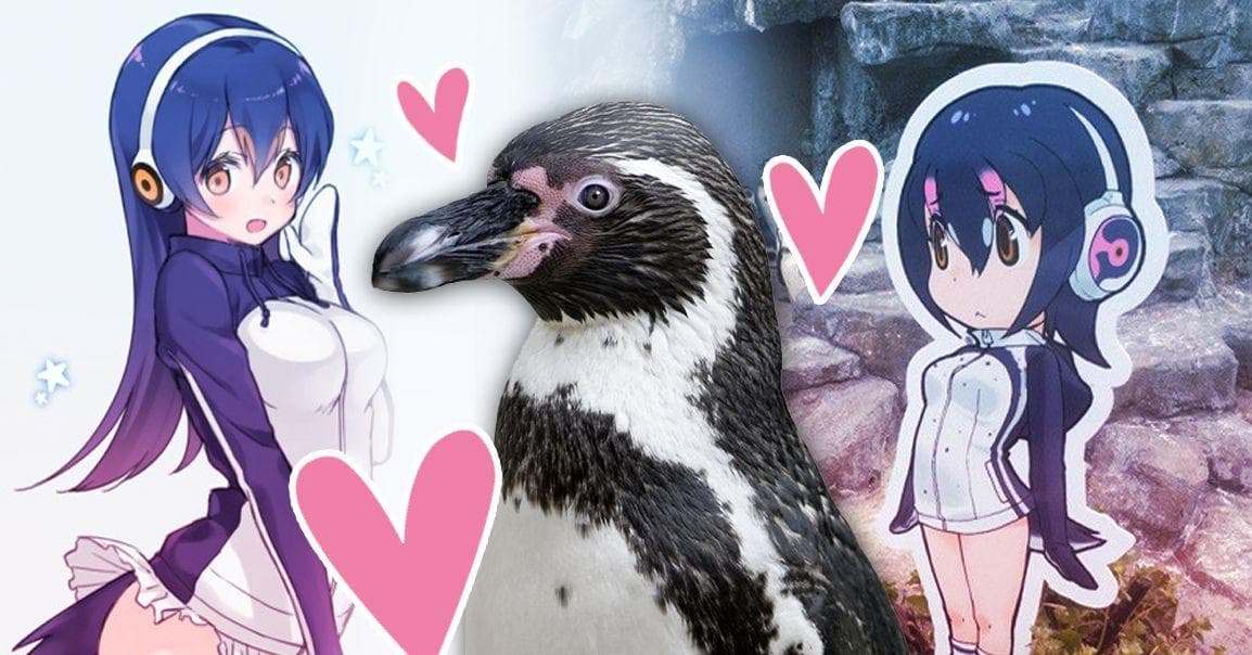 The Sweet And Tragic Tale Of Grape-Kun The Penguin