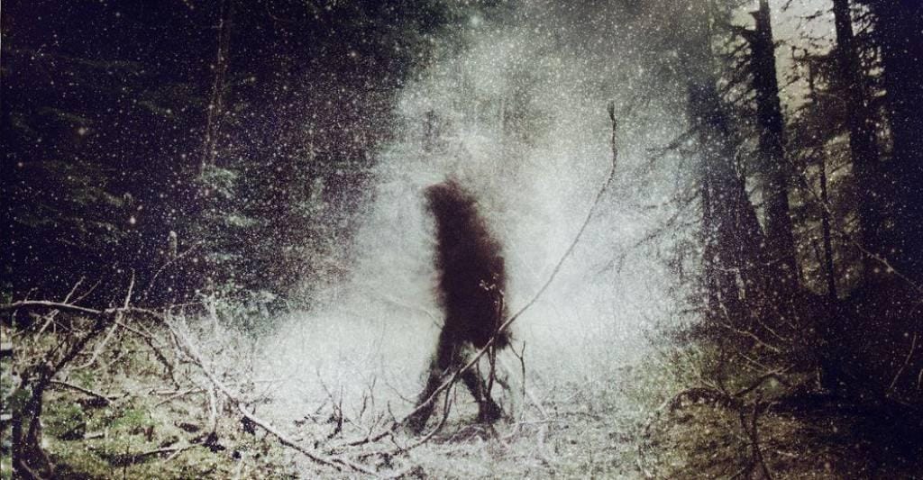 People Who Live In Remote Places Describe The Creepiest Things They’ve ...