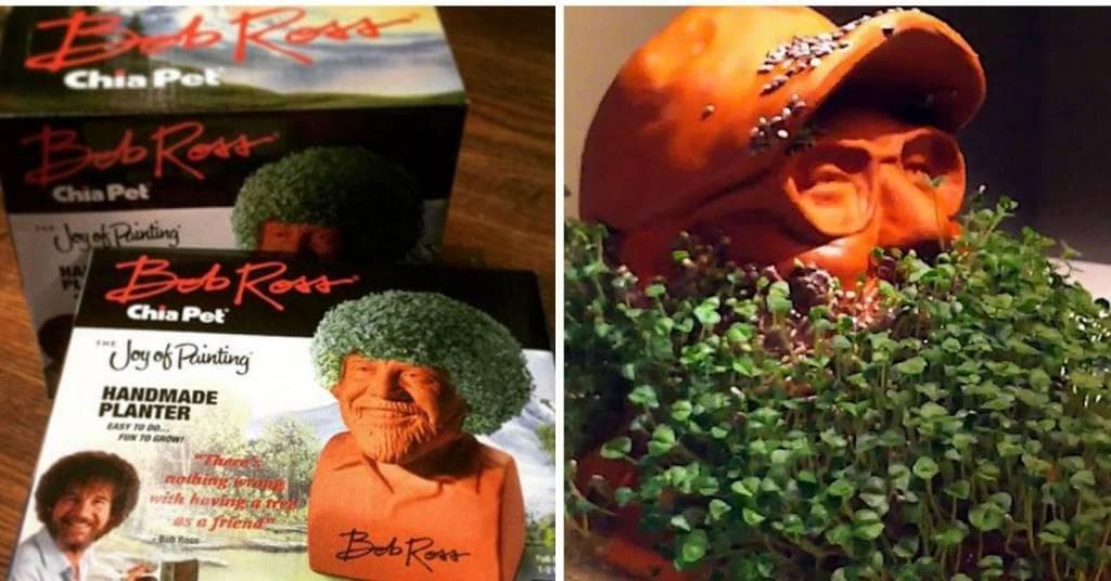 20 Newer Chia Pets You'll Actually Want to Buy