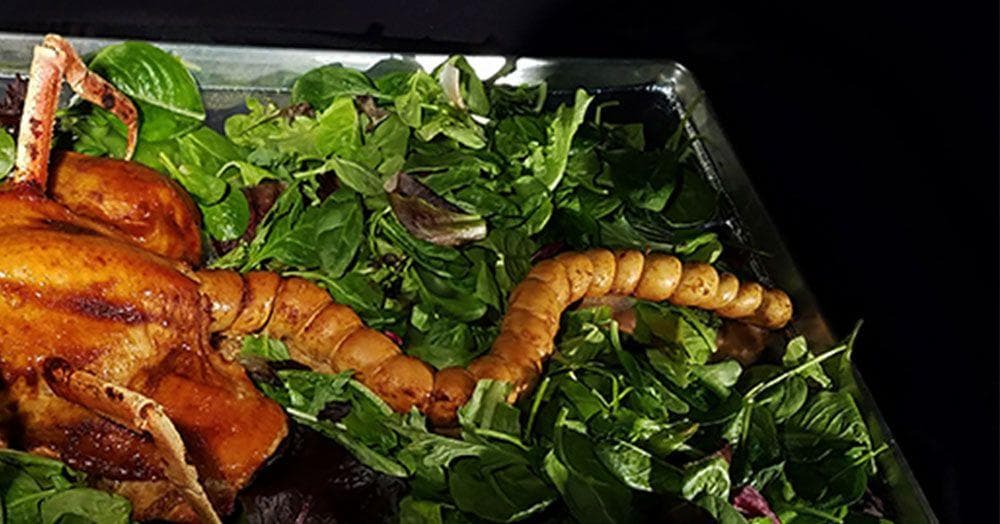 This Person Turned A Thanksgiving Turkey Into A Face-Hugging Alien ...