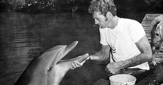 The Dolphin Who Played Flipper Committed Suicide, And Your Childhood Is ...