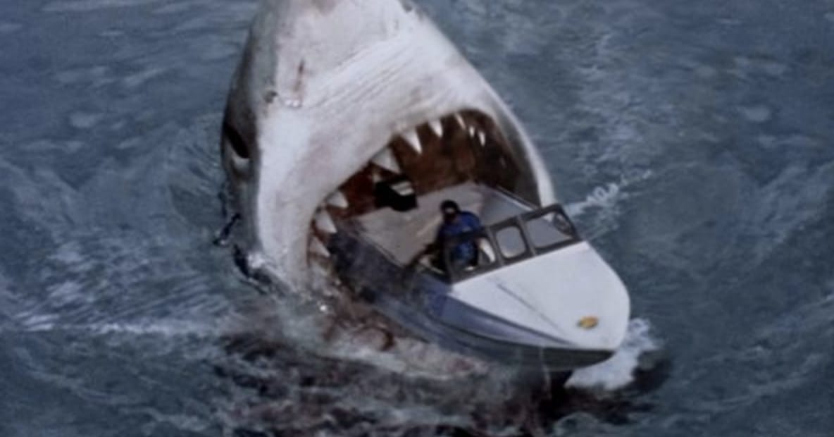 Megalodons Were One Of The Most Horrifying Creatures To Swim The Seven Seas