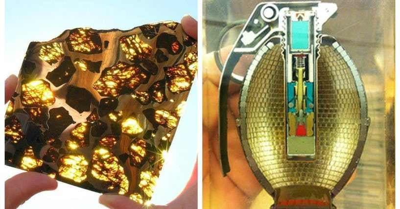 Things Cut in Half Photos | Cool Bisected Objects