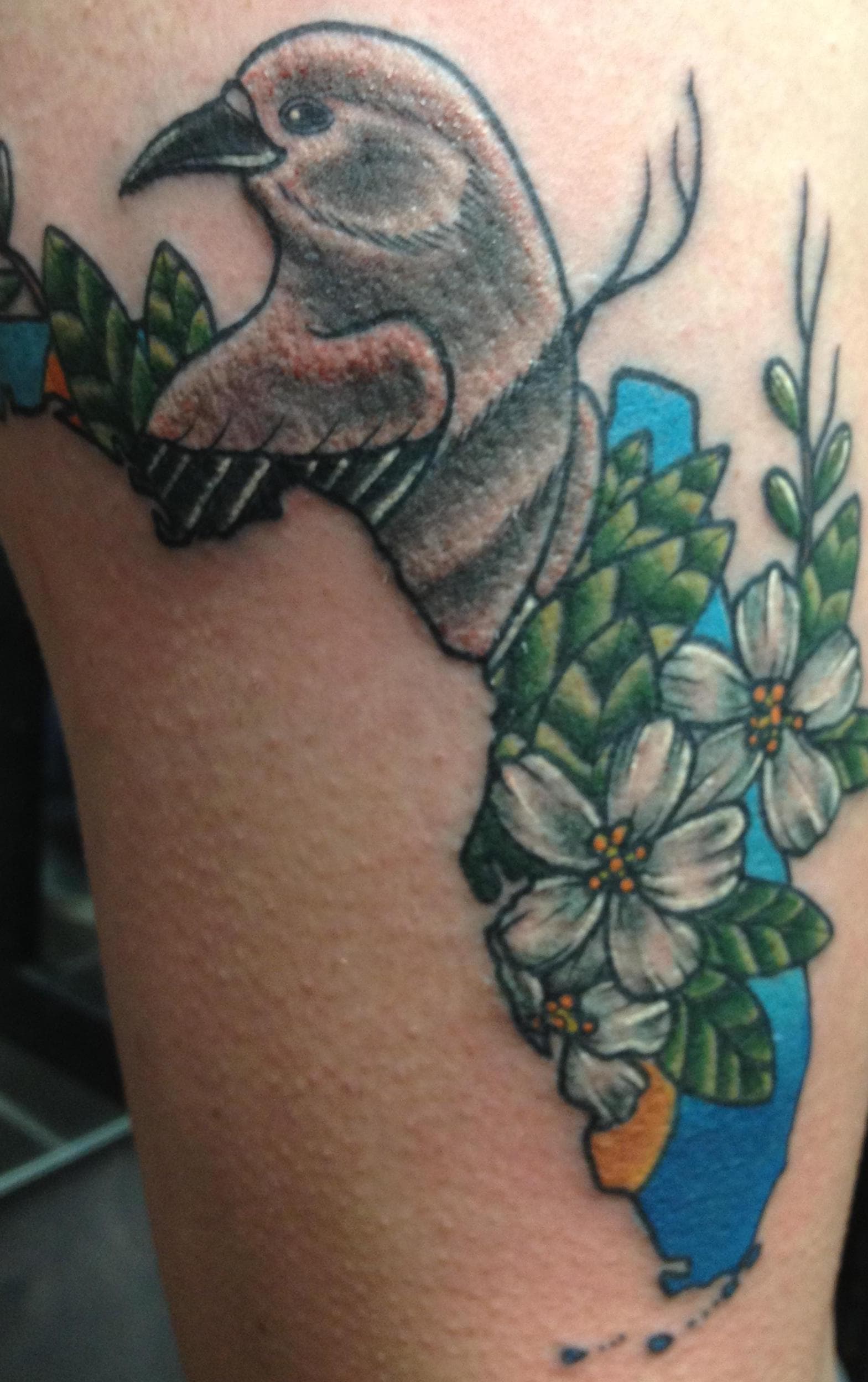 Florida Wildlife Tattoos Florida Tattoo Ideas | Photos Of Florida