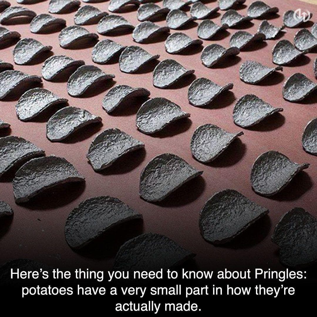 Food Processing Gross