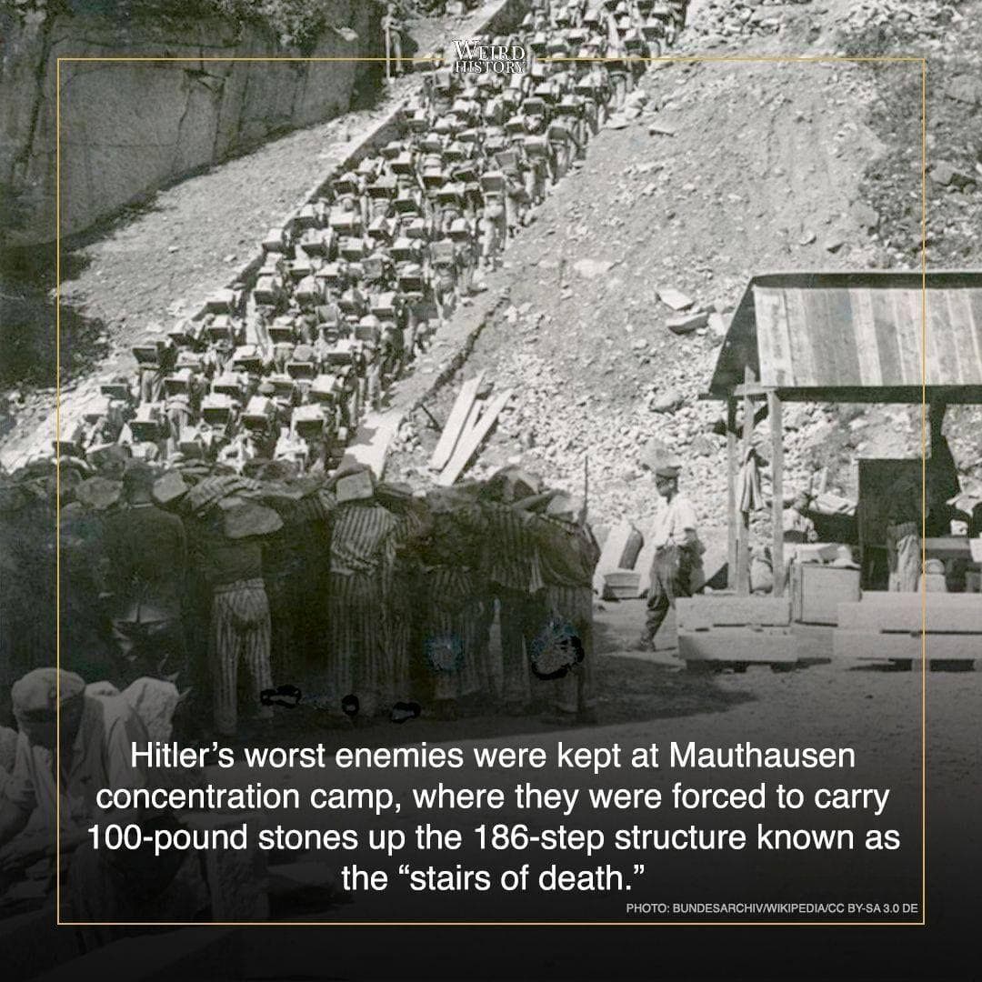 Mauthausen Concentration Camp Stairs Of Death