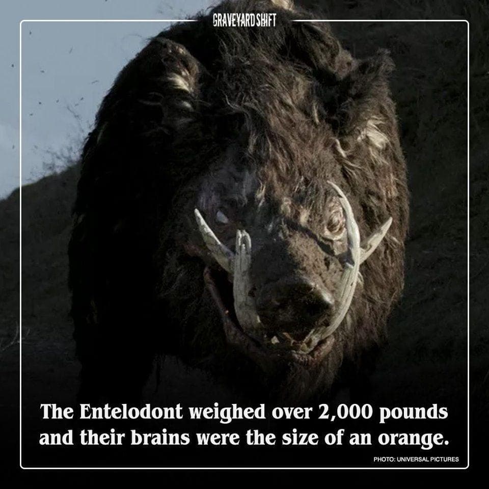 Prehistoric Predators Killer Pig