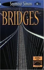 List of 50+ Good Books With Bridge in the Title