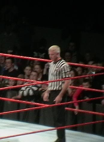 Famous Male Referees | List of Top Male Referees