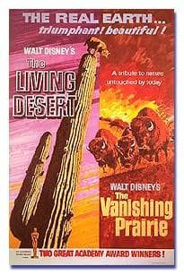 List of 50+ Movies With Desert in the Title, Ranked