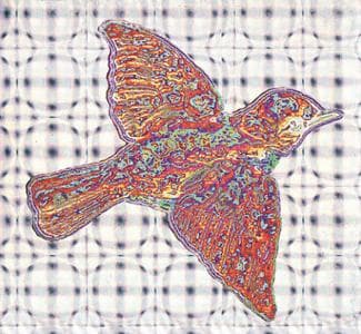 The Best Widespread Panic Albums, Ranked By Fans