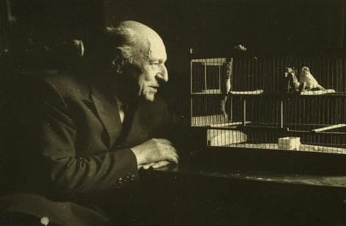 Famous Italian Authors | List of Popular Writers From Italy