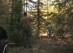 All MonsterQuest Episodes | List of MonsterQuest Episodes (77 Items)