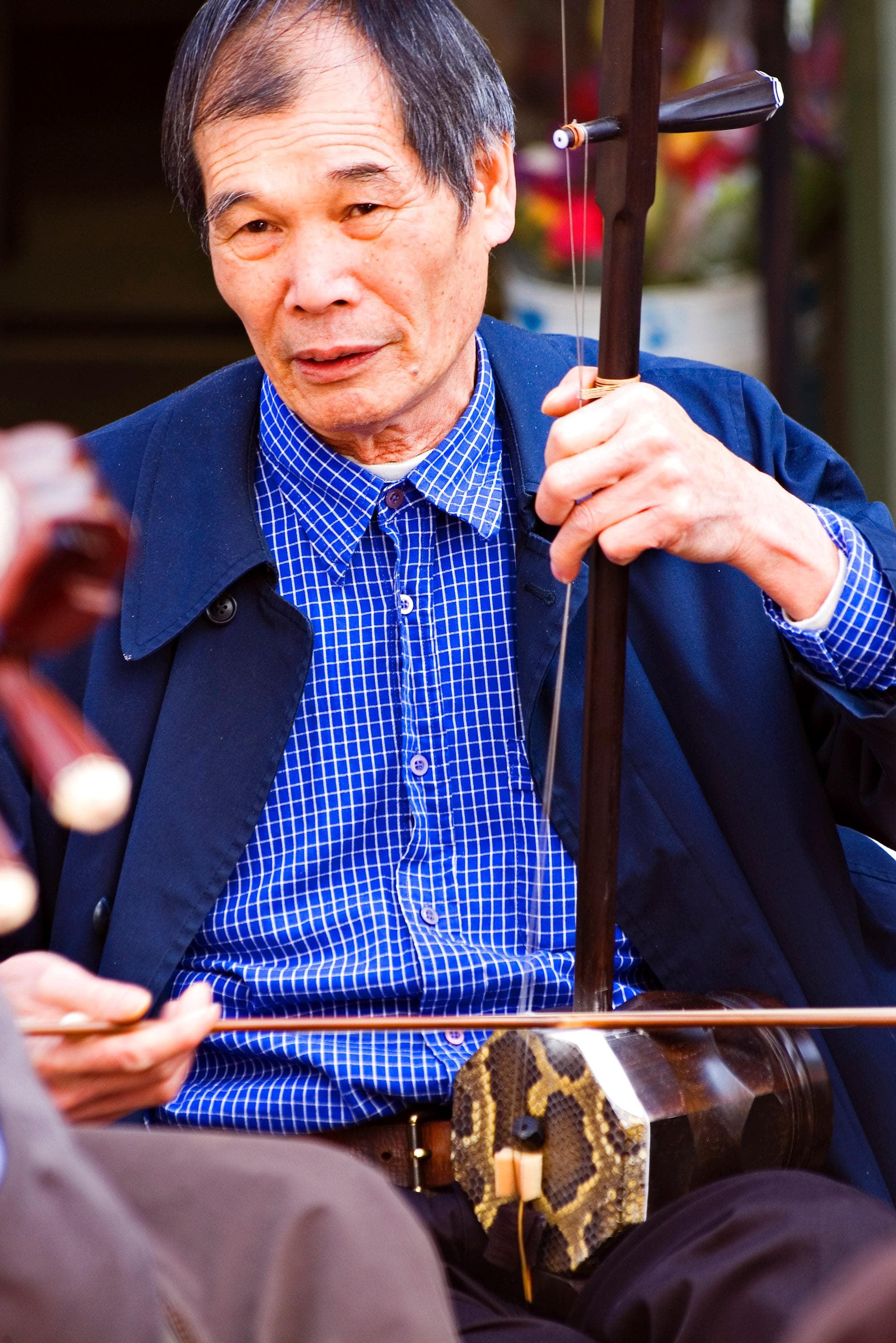 The Bowed string instruments: List of Musical Instruments in the Bowed ...