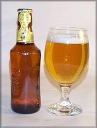 Fischer Beers | List of Beers Made by Fischer