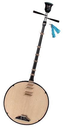 The Plucked String Instrument: List of Musical Instruments in the ...