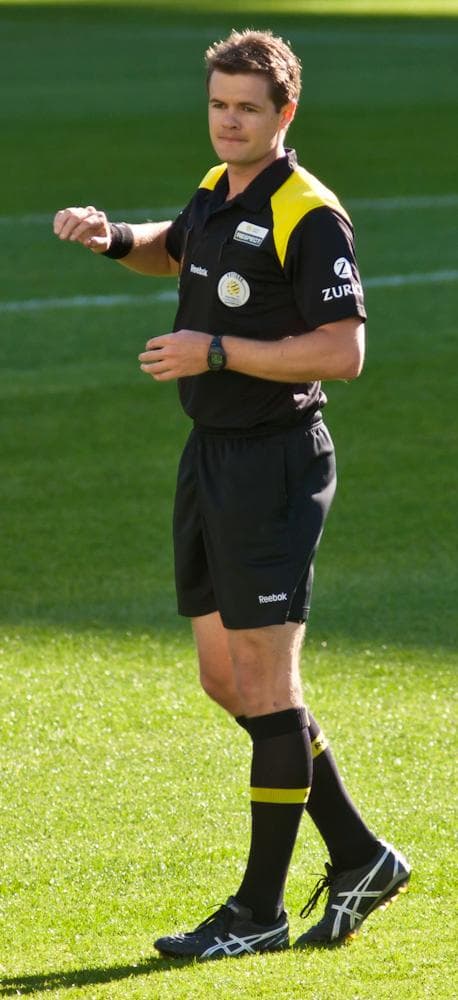 Famous Male Referees | List of Top Male Referees
